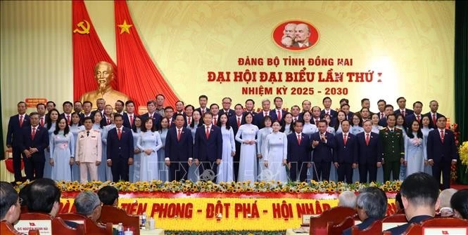 Dong Nai strives to meet basic criteria for centrally-run city by 2030 ...